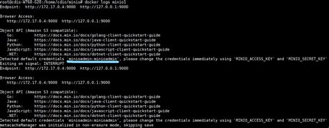 Minio服务器端部署docker查看minio 端口 Csdn博客