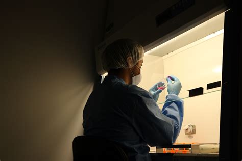 Inscrições Abertas Para O Edital Fiocruz Pasteur Usp Portal Fiocruz