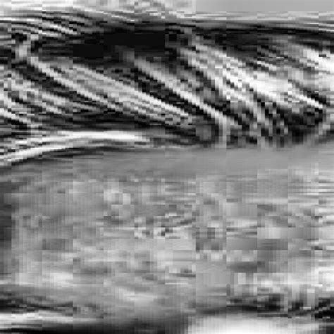 Face Detection With Yolov8 Object Detection Dataset V4 2023 06 17 8