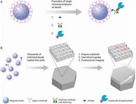 Optical Methods For Single Molecule Detection And Analysis Analytical