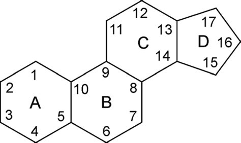 General Skeleton Of Sex Hormones Download Scientific Diagram