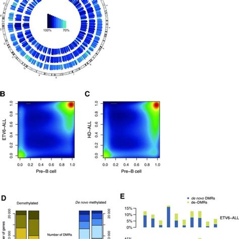 Overview And Statistics Of Whole Genome Bisulfite Sequencing Data Of Download Scientific