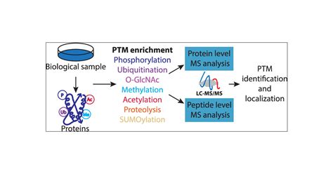 Decoding Post Translational Modification Crosstalk With 60 Off
