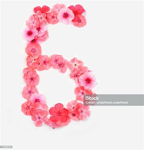 3번은 진짜 신선한 꽃으로 만들었습니다 꽃 글꼴 개념 알파벳 0명에 대한 스톡 사진 및 기타 이미지 0명 Live Event 가을 Istock