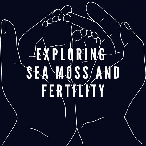 Sea Moss And Fertility A Comprehensive Guide Millies Moss