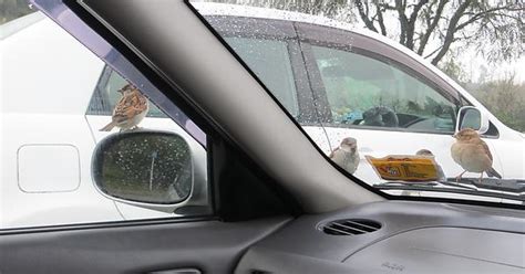 Definitely Plotting Something Album On Imgur