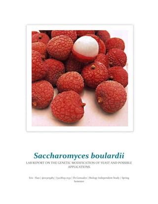 Lab Report On Yeast Transformation PDF Free Download