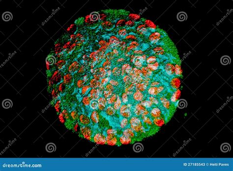 Protoplast Stock Illustration Illustration Of Scanning 27185543