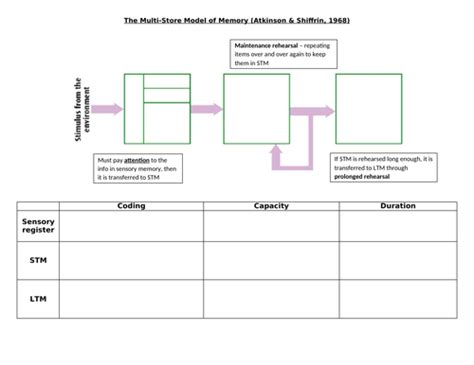 Aqa Gcse Psychology Paper 1 Memory Bundle Teaching Resources