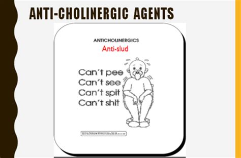Cholinergic Antagonist Flashcards Quizlet