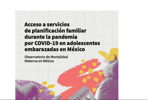 Situación Actual De La Partería Indígena En Seis Estados De México