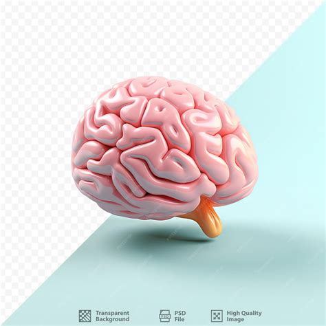 Premium Psd Three Dimensional Brain