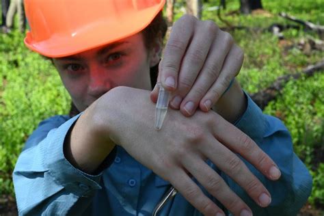 Collecting Ticks Image Eurekalert Science News Releases