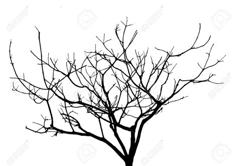 Tree Shadow Drawing At Getdrawings Free Download