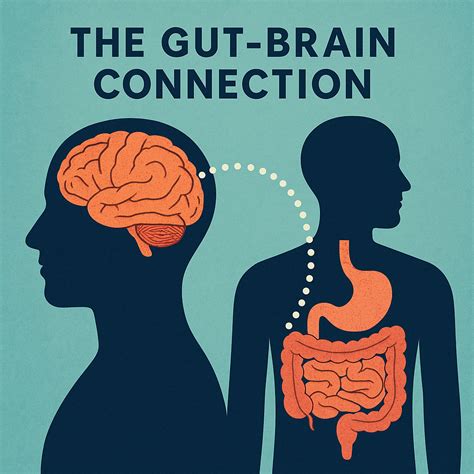 The Gut Brain Connection Unlocking Mental Clarity Through Digestive