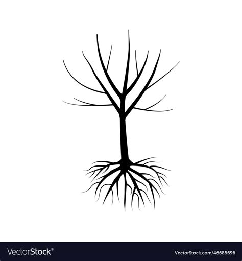 Tree With Roots Oak Royalty Free Vector Image VectorStock