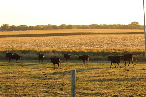 Proposition 12 Impact On Locals The Tack Online