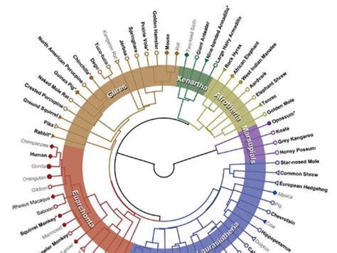 Data Driven Solutions With Bioinformatics Analysis Upwork