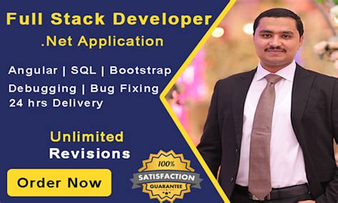 Build Asp Dot Net Core Dot Net Mvc Web Applications With Sql Server By Raza0852 Fiverr