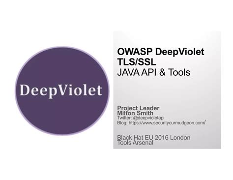 Owasp Deepviolet Tlsssl Java Api And Tools Pdf Internet Computing