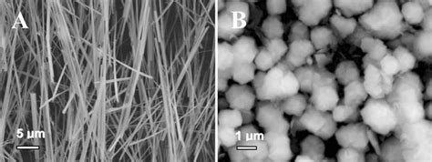 Sem Micrographs Of Two Kinds Of Yttrium Containing Precursors Prepared