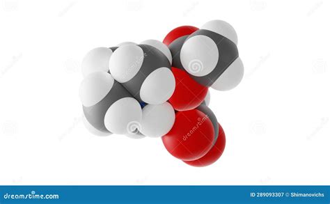 Acetylcarnitine Molecule Structural Chemical Formula Ball And Stick