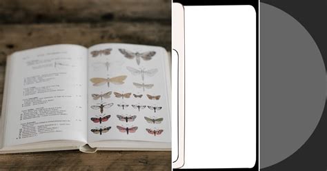 List Bianary Classification Curated By Rigpea Medium