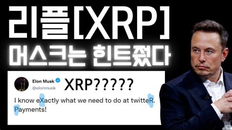 리플 머스크 꼭이런식으로 홍보하더라제가 리플 간다고 했죠리플 리플코인 리플전망 암호화폐 Xrp Crypto Youtube