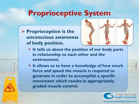 Ppt Fall Risk Reduction Program Designing An Exercise Program Module