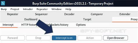 Пример Sql инъекции с помощью Burp Suite на Dvwa