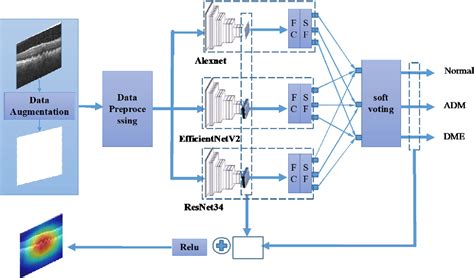 figure 1 from explainable ensemble learning method for oct detection