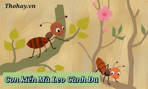 Con Kiến Mà Leo Cành Đa Nội Dung Ý Nghĩa Bài Thơ