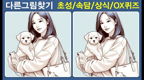 【초성퀴즈】 614 집중력 기억력 관찰력 두뇌운동 치매예방 【틀린그림찾기】 Youtube