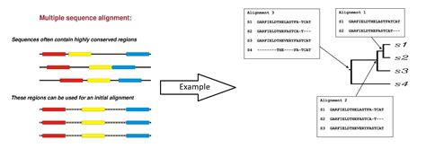 A Novel Population Based Optimization For Multiple Sequence Alignment In Protein Sequencing