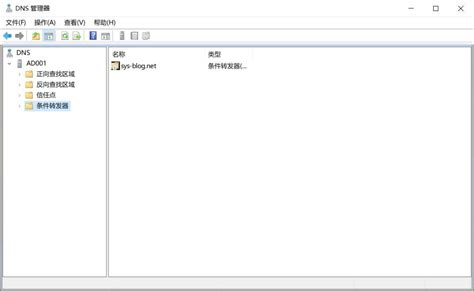 Dns服务器，配置条件转发器
