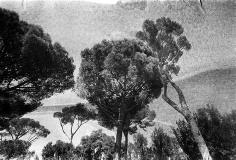 Julien Drach Le Saisisseur Dinstants Aurelien Lespinas