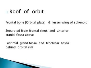 Orbit Anatomy Pptx