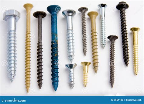 Assorted Screws Royalty Free Stock Photos Image 9664188