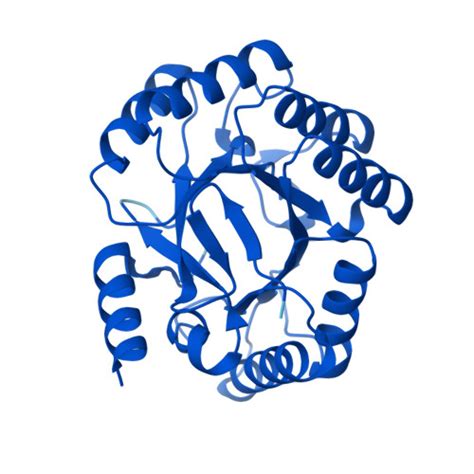 Rcsb Pdb Af Afb4tgj6f1 Computed Structure Model Of 3 Dehydroquinate Dehydratase