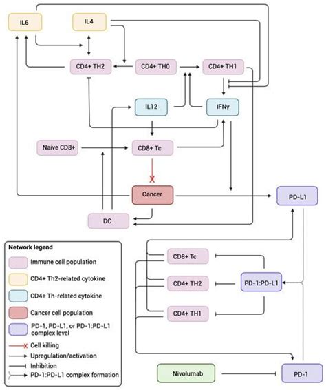 Mohammad Kohandel On Linkedin Sex Related Differences In The Immune