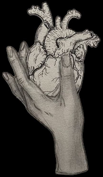 Hand Holding Human Heart Drawing Finished My Melting Anatomical Heart