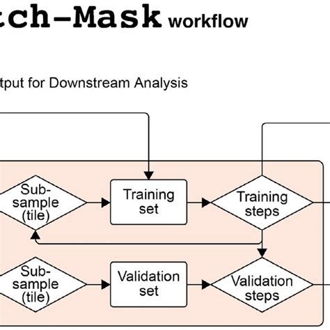 Summary Diagram Of The Batch Mask Workflow A Landmarked Data From A