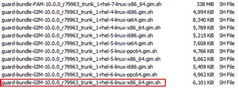 Ibm Security Guardium V10 How To Install Gim Client On Unix Server