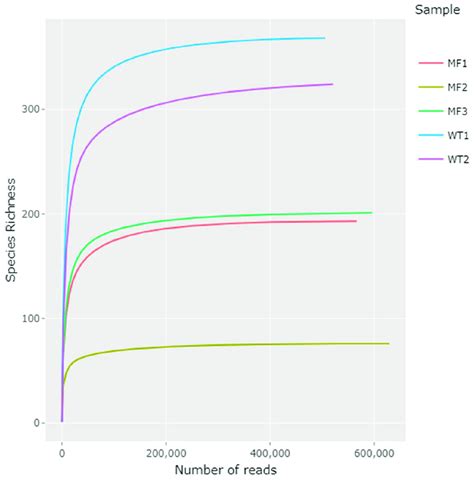 Rarefaction Curves Showing Observed Species Richness In Samples From Wt