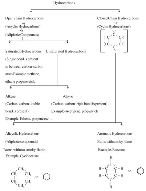 Draw The Sketch Of Classification Of Hydrocarbons