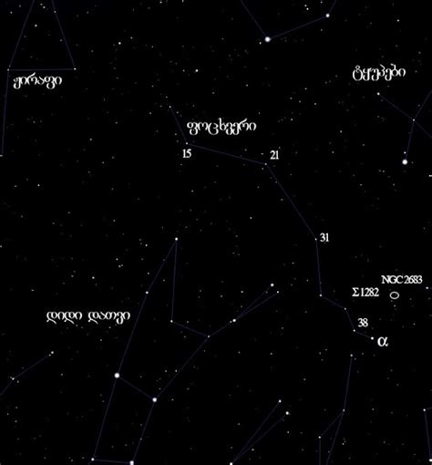 კოსმოსი ჟირაფი და ფოცხვერი