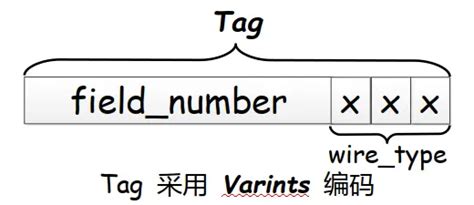 深入 Protobuf 编码protobuf使用tlv Csdn博客 深入 Protobuf 编码protobuf使用tlv Csdn博客