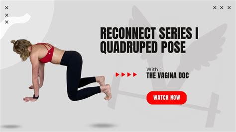 How To Strengthen Your Pelvic Floor Quadruped Youtube