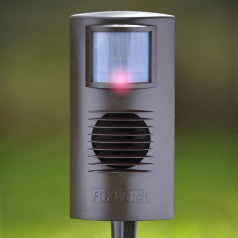 Cat Deterrent Rspb At Gwendolyn Ward Blog