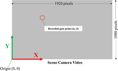 Illustration Of The Coordinate System Of The Scene Video Camera And The
